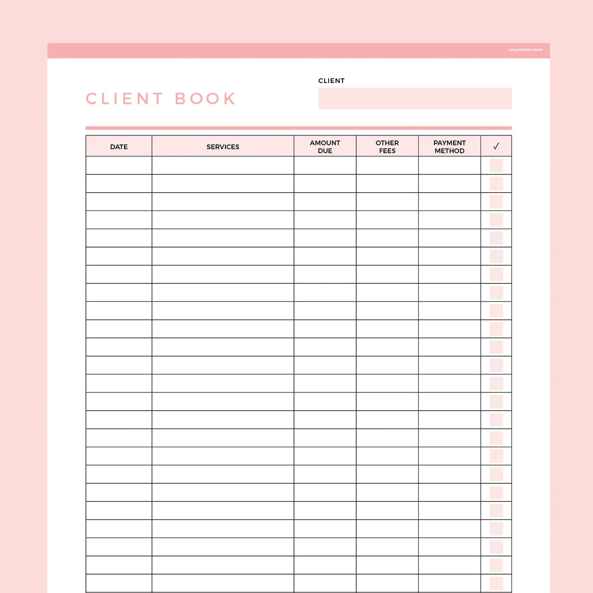 Client Book Template Editable | Instant Download Fillable PDF | A4 and ...